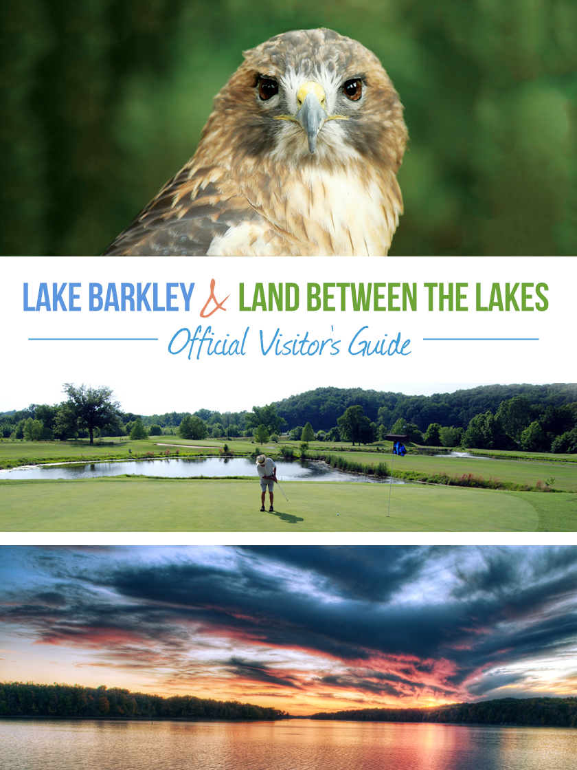 Free Travel Guides | Pick your destination