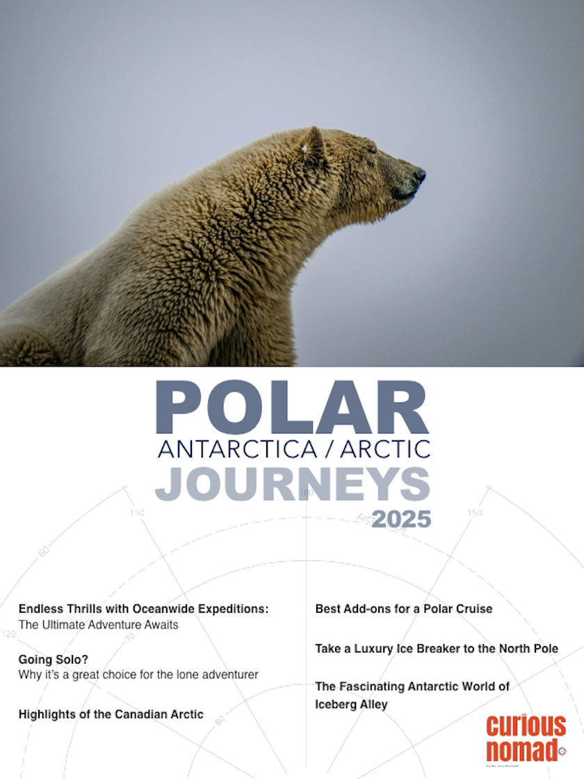 Polar Cruises Guide - Antarctica/Arctic | Guides | Travel Guides Free