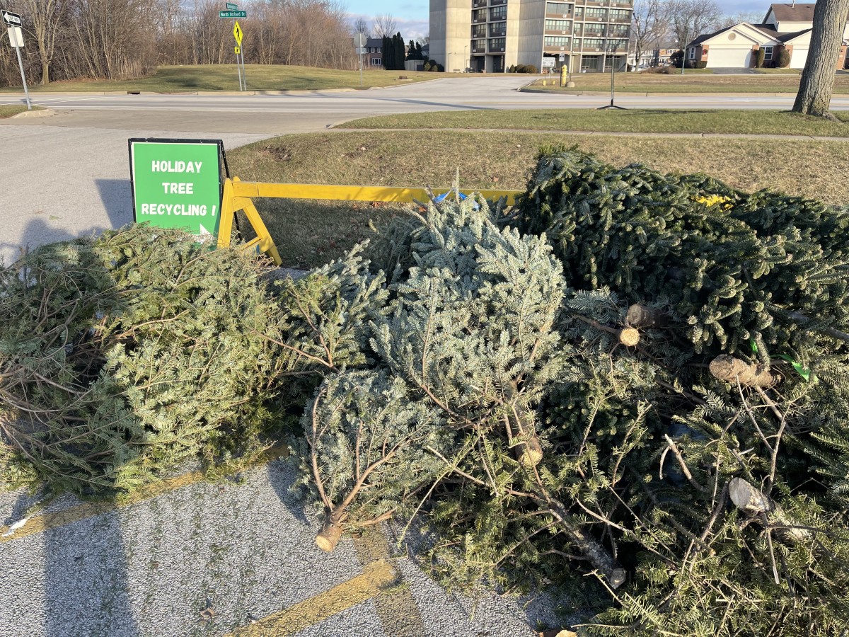 HOLIDAY TREE RECYCLING PROGRAM | Travel Guides Free